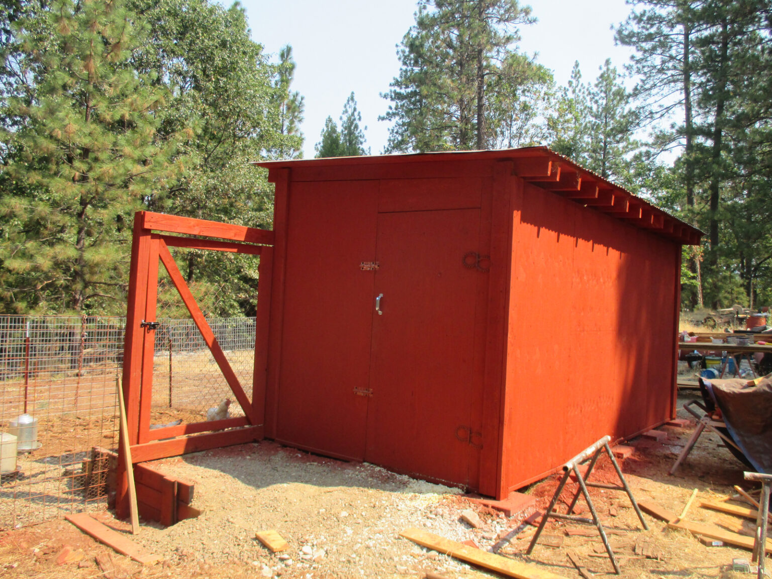 Line Breeding Chickens with Clans - Backyard Poultry